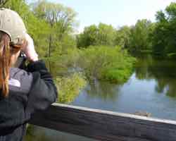 Van Patten Woods - Lake-Cook Audubon