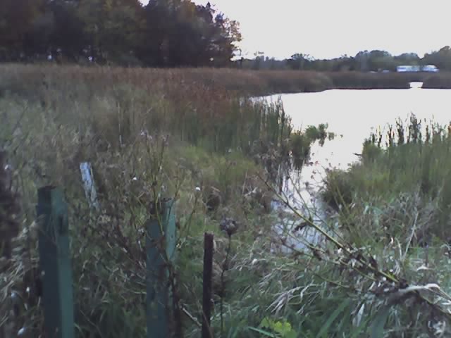 Wadsworth Canoe Launch / Sedge Meadow Forest Preserve - Wadsworth ...