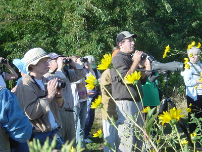 Montrose Point Bird Sanctuary - Lake-Cook Audubon