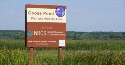 Spring into Spring: Indiana Hotspot Weekend - Lake-Cook Audubon